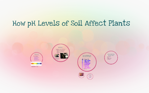 How pH Levels of Soil Affect Plants by cassandra schultz-joy on Prezi