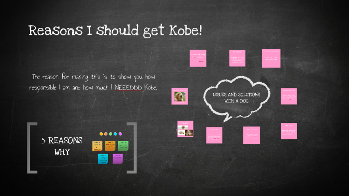 Reasons I should get Kobe! by Jaleigh McIntyre on Prezi