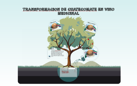 Transformación del cuatecomate en vino medicinal by ariadna villanueva ...