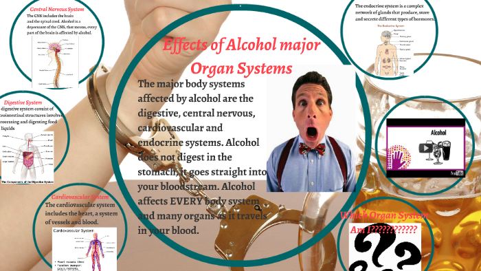 Effects of Alcohol on Major Organ Systems by Andrea Tafur on Prezi