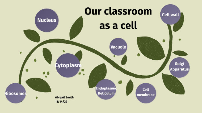 Our classroom as a cell by Abigail Smith on Prezi