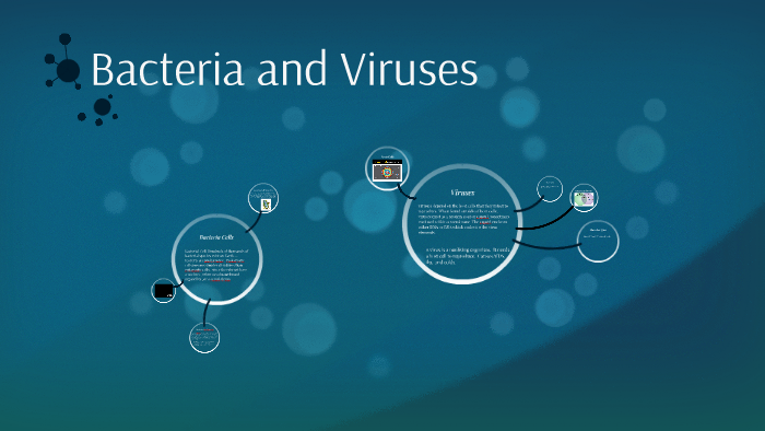 Bacteria Cell and Viruses by Sandra Matson on Prezi
