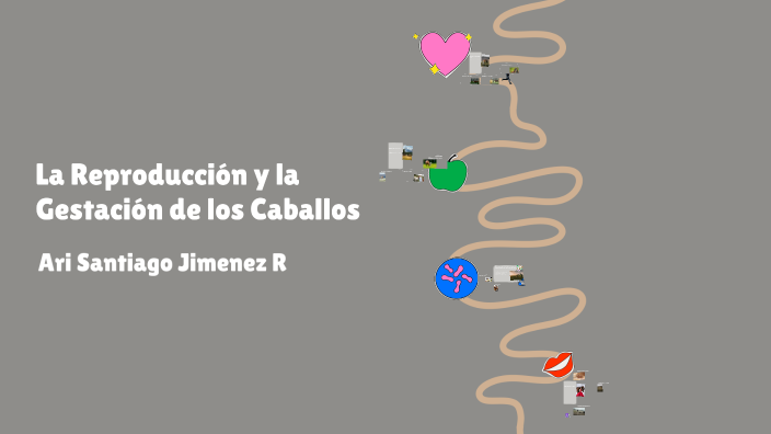 La Reproducción y la Gestación de los Caballos by Laura Valentina ...