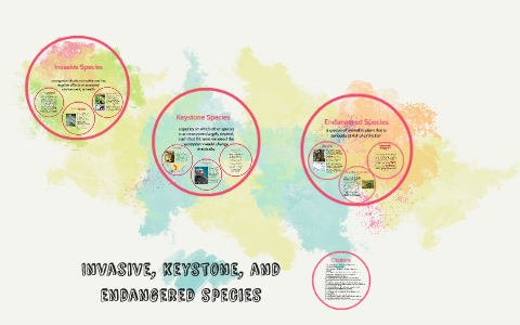 Invasive, keystone, and endangered species by keyana blanchard on Prezi