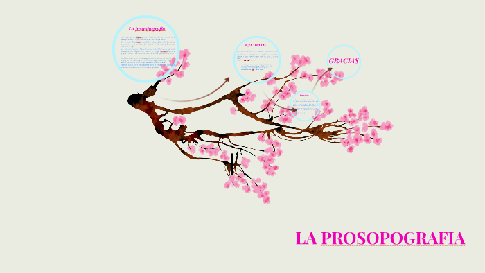 LA PROSOPOGRAFIA by Adriana Romero on Prezi