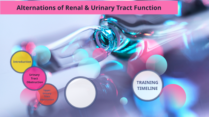 Alterations of Renal & Urinary Tract Function by Felecia Pratt on Prezi