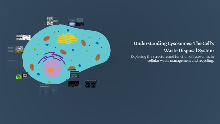 Understanding Lysosomes: The Cell's Waste Disposal System by Sab-it ...