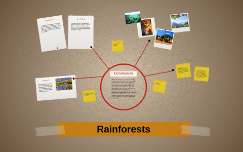Rainforests by Dylan Dowden on Prezi
