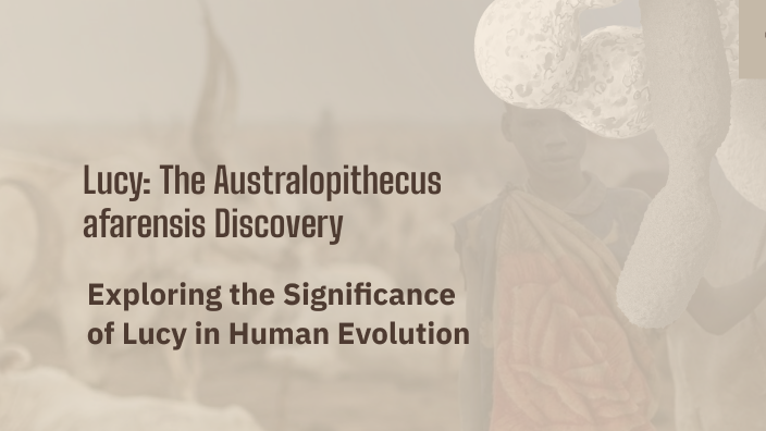Lucy: The Australopithecus afarensis Discovery by Aneta Warzala on Prezi