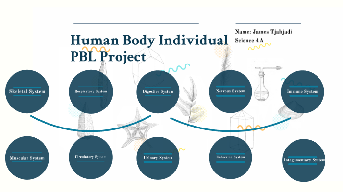 Human Body PBL Individual Project by James Tjahjadi on Prezi