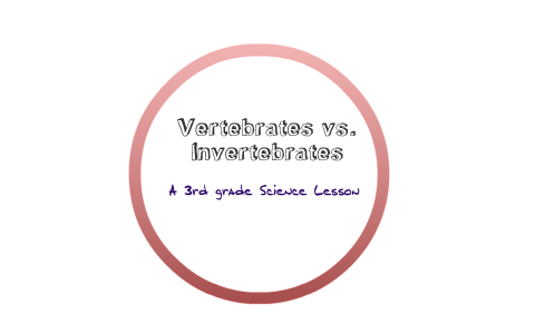 3rd Grade Science Unit: Vertebrates Vs. Invertebrates by Katy Carroll ...