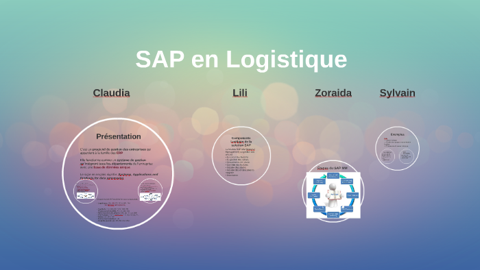 SAP et son module Logistique by Sylvain Grandjean on Prezi