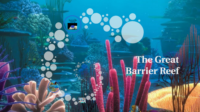 The Great Barrier Reef Ecosystem by Sneha Khan on Prezi