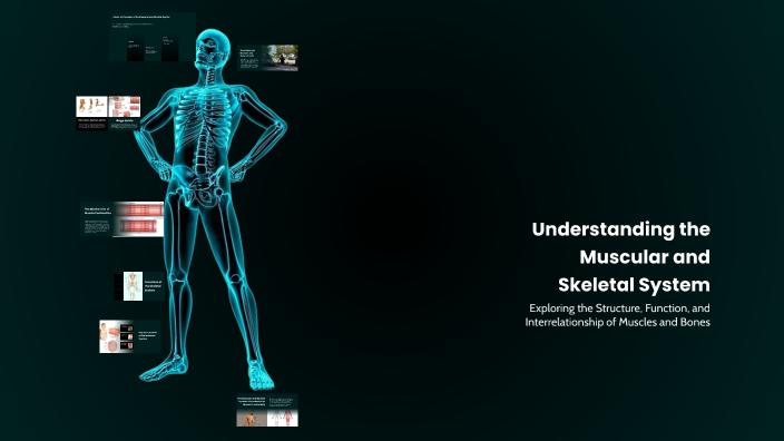 Understanding the Muscular and Skeletal System by Jaylord Reyes on Prezi