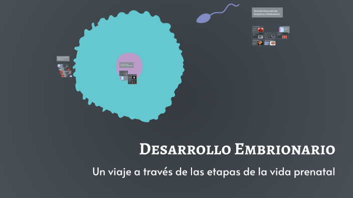 Desarrollo Embrionario by yerlin Alcántara Castillo on Prezi