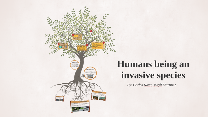 Humans being an invasive species by Mayli Martinez on Prezi