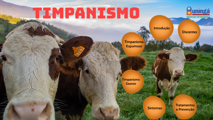 Timpanismo by Bruno Gandolfi da Silveira on Prezi