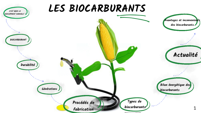 les biocarburant by makhloufi hadjer on Prezi