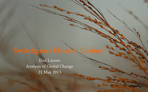 Switchgrass Ethanol Biofuel by Dan Lucero on Prezi