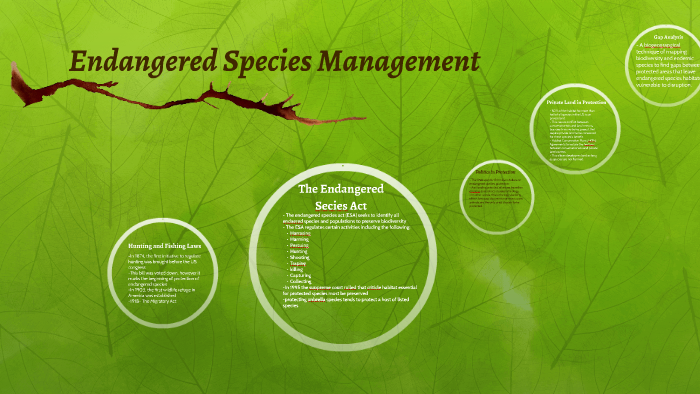 Endangered Species Management by Connor Wilson on Prezi