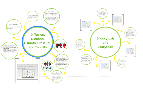Diffusion, Osmosis, Osmotic Pressure, and Tonicity by Christian ...