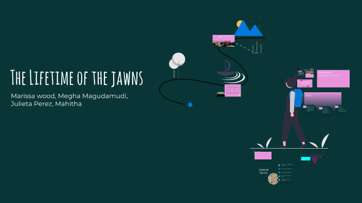 The Lifetime of the Jawns by Marissa Wood on Prezi