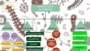 CONCEPT MAP IN INTRODUCTION OF MICROBIOLOGY by Rezelina G. on Prezi Design