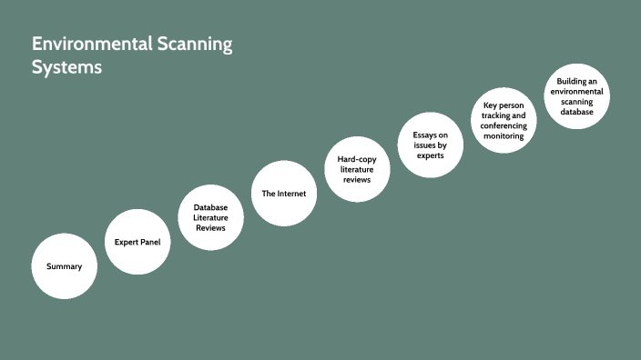 Environmental Scanning Systems by Daniela d on Prezi