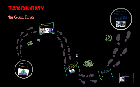 taxonomy project for biology by cecilia zarate on Prezi