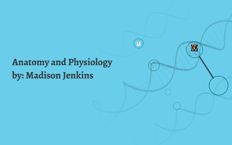 Anatomy and Physiology by Madi Jenkins on Prezi