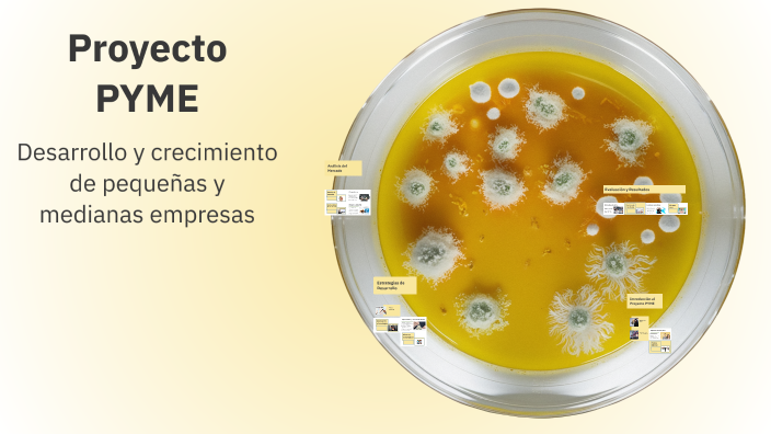 Proyecto PYME by Valentina Salazar on Prezi