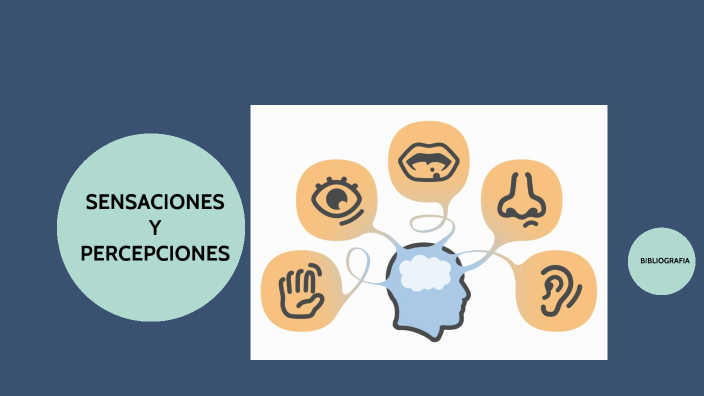 LA SENSACIÓN Y LA PERCEPCIÓN by Cris Leiva on Prezi