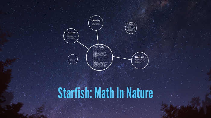 Starfish: Math In Nature by Mak Stein on Prezi
