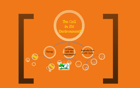 Cells & Their Processes-The Cell in its Environment by Wendy Henderson