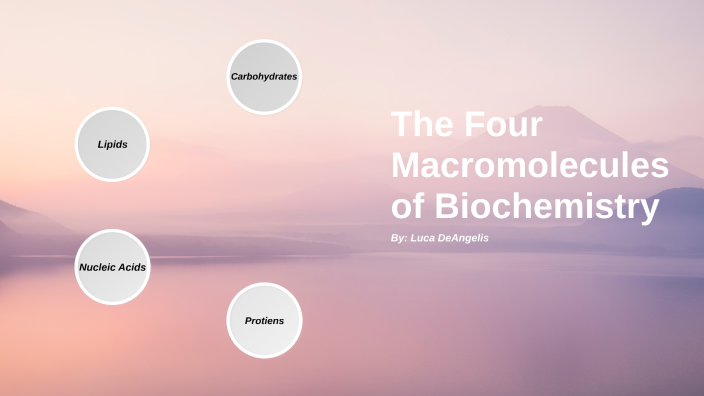 The Four Macromolecules of Biochemistry by LD - 10ZZ 944900 Lorne Park ...
