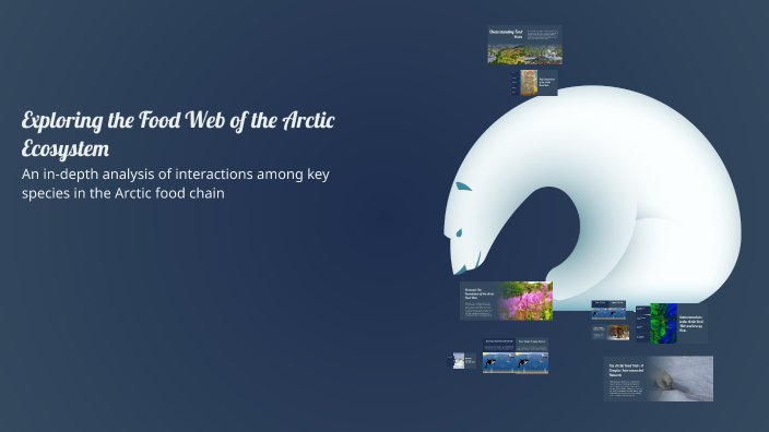 Exploring the Food Web of the Arctic Ecosystem by E E on Prezi