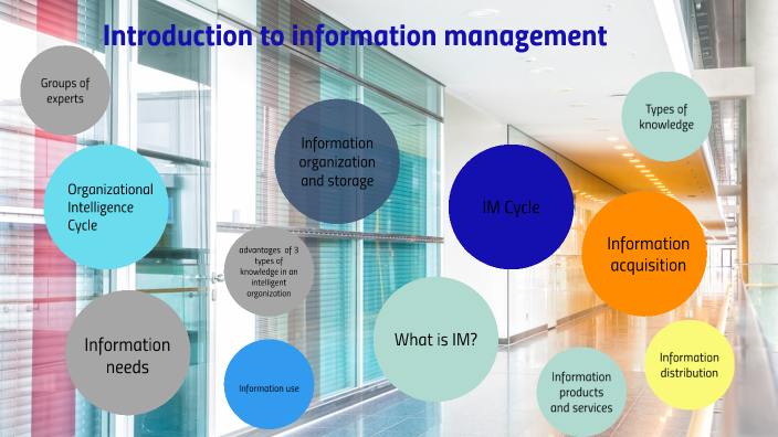 Introduction to information management by Karolina Muszynska on Prezi
