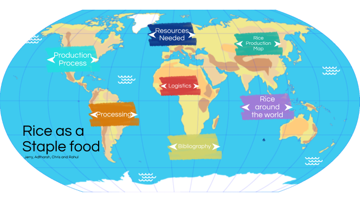 Rice Presentation by Jerry Hao on Prezi