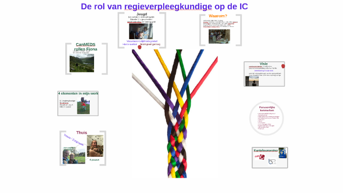 De rol van regieverpleegkundige op de Intensive Care by Maarten van Os ...