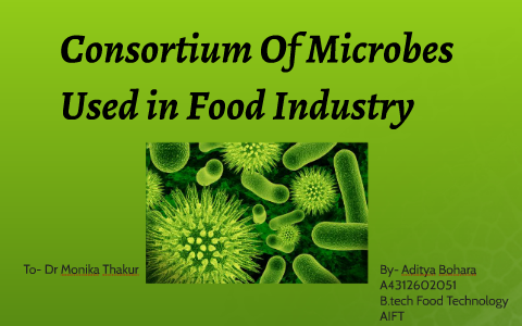 Consortium Of Microbes Used in Food Industry by Aditya Bohara on Prezi