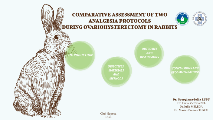 COMPARATIVE ASSESSMENT OF TWO ANALGESIA PROTOCOLS DURING ...