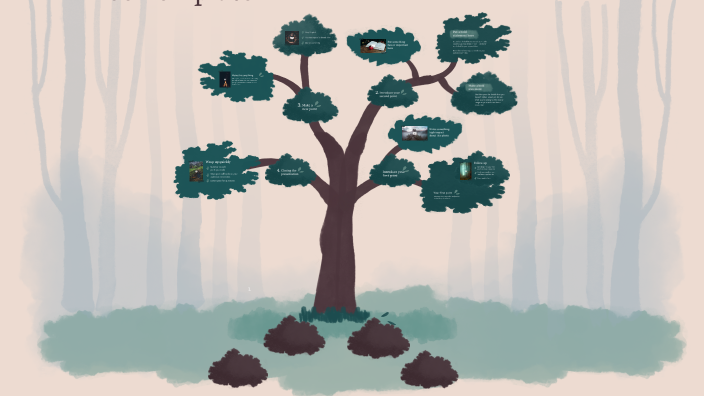 Project Human Rights Tree by Carolina Machado on Prezi