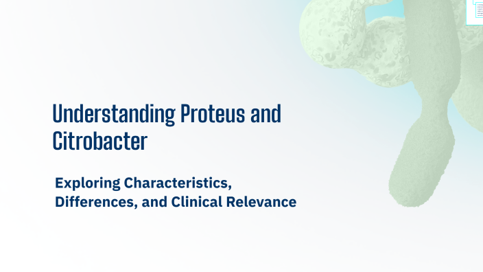 Understanding Proteus and Citrobacter by Mohamad DIAB on Prezi