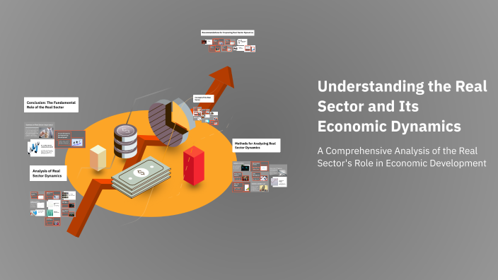 Understanding the Real Sector and Its Economic Dynamics by Нилуфар ...