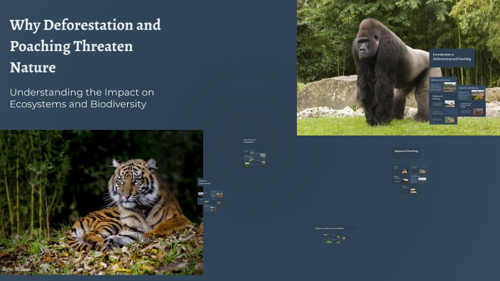 Why Deforestation and Poaching Threaten Nature by Andrea Reynaud on Prezi