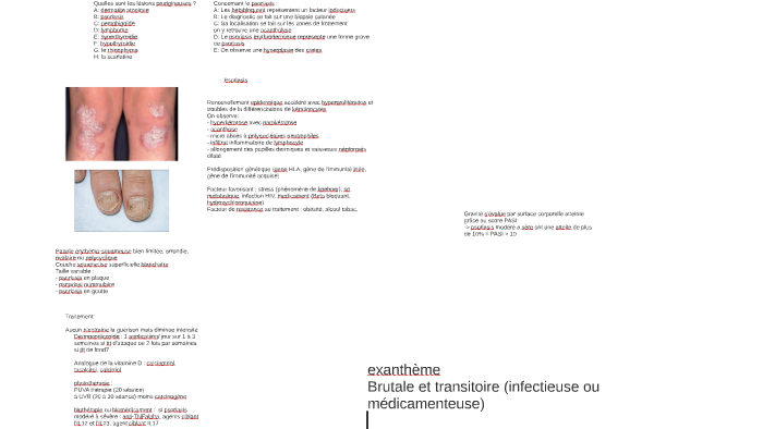 quelles sont les lesions prurigineuse by Julia RAMAGE on Prezi