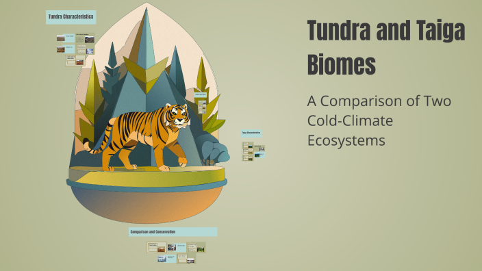 Tundra and Taiga Biomes by Justine Nuñez on Prezi