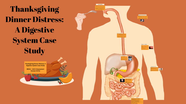 Thanksgiving Dinner Distress: A Digestive System Case Study by Sawsan ...