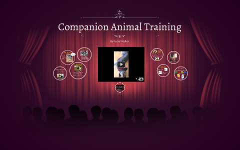 Companion Animal Training by rachel walker on Prezi