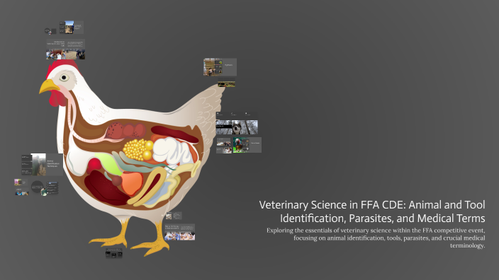 Veterinary Science in FFA CDE: Animal and Tool Identification ...